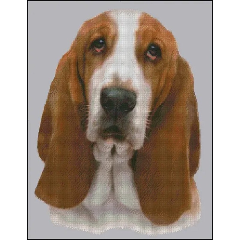 Basset Hound pattern - Industrozone Industrial Solutions & Supplies ...